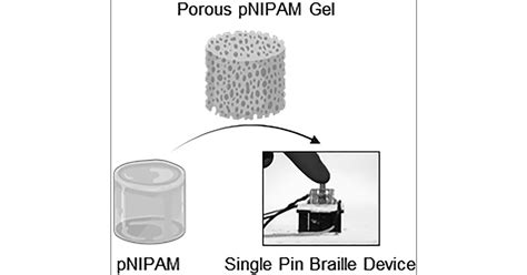 Development Of A Soft Actuator From Fast Swelling Macroporous Pnipam Gels For Smart Braille