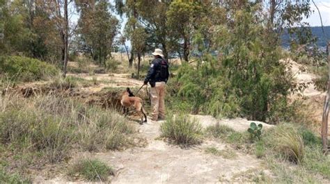 Video Conoce La Historia De Alejandro Cortez Joven Hallado Sin Vida