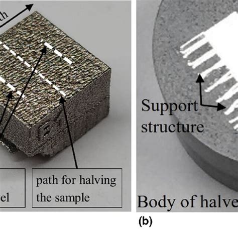 A Paths For Stylus Travel And Halving A Sample Which Are