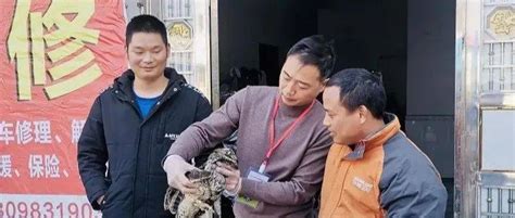 公安一村民发现一只“怪鸟” ！竟是只保护动物指挥中心