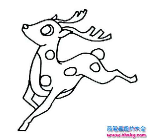 简笔画鹿 鹿怎么画简单又好看 简笔画鹿的颜色怎么涂