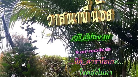 วาสนาพี่น้อย ศรคีรี ศรีประจวบ Karaoke คาราโอเกะ Youtube