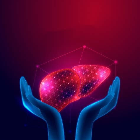 What Is Hepatitis Synlab Nigeria