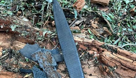 Сенат Румунії дозволив збивати дрони та розширив повноваження армії Інтент Суспільно