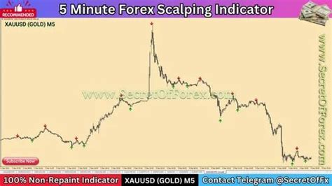 Best 5 Minute Scalping Strategy With One Forex Indicator In Faridabad