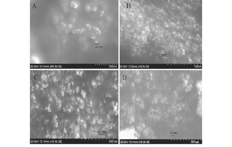 Sem Micrographs Of A Undoped Tio 2 B 025 Wt Agtio 2 C 05 Wt