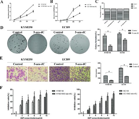 Treatment With 5 Aza Dc Led To Downregulation Of Malignant Properties
