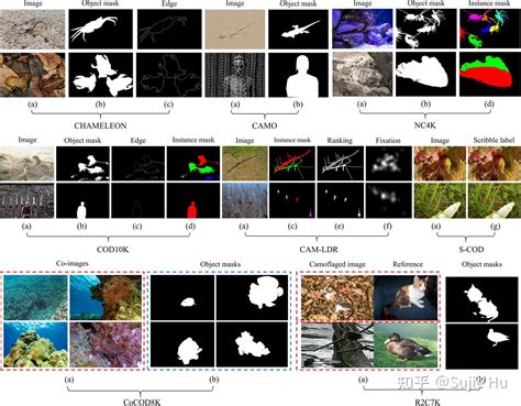 伪装目标检测及其拓展研究综述 知乎