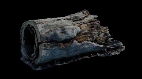 Fallen Rotting Log 3d Model Cgtrader