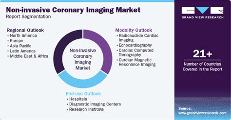 Non Invasive Coronary Imaging Market Industry Report 2030