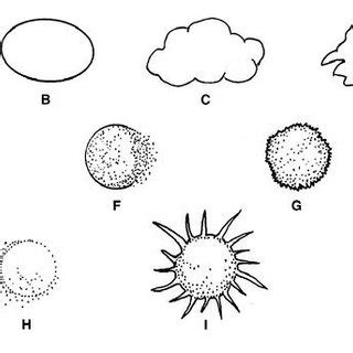 PDF Approach To A Patient With Breast Lump