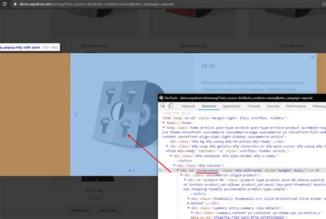 C Mo Puedo Ocultar Categor As Y Etiquetas En Vista R Pida En Wordpress