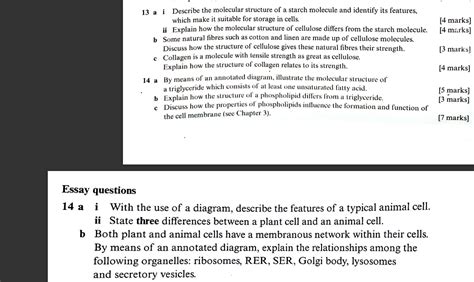 A I Describe The Molecular Structure Of A Studyx