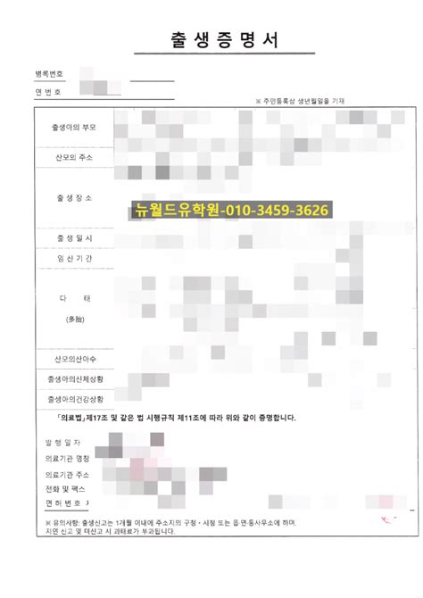 〔병원 출생증명서 Birth Certificate 번역 And 공증〕 해외 신고용 네이버 블로그