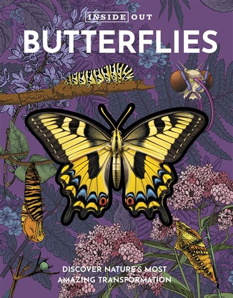 Inside Out Butterfly By Editors Of Chartwell Books Quarto At A Glance