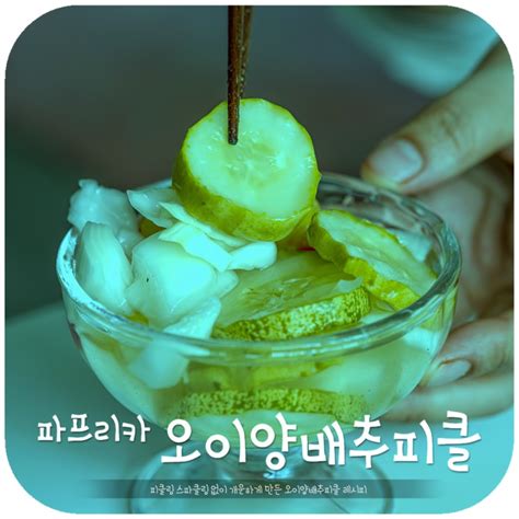 간단한 오이피클 만드는 법 새콤한 오이 양배추 수제 피클 만들기 네이버 블로그
