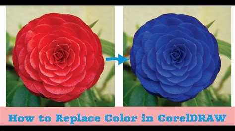 How To Replace Color In Coreldraw Youtube
