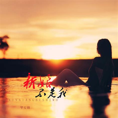 新娘不是我梦兮颜高音质在线试听新娘不是我歌词歌曲下载酷狗音乐