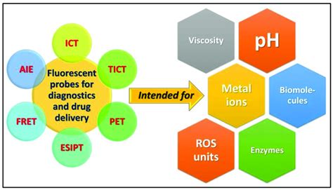 Scheme 1 Schematic Representation Of The Structure Of The Review