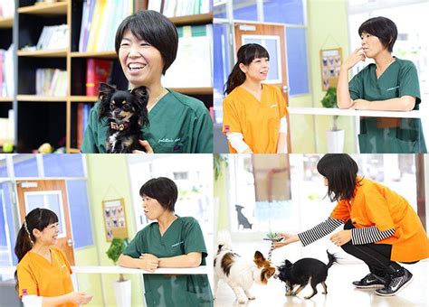 看護師、トリマーさん募集！ペットクリニッククローバー 埼玉県八潮市 【 ペットのお仕事】獣医・動物看護師・トリマーの求人・転職情報