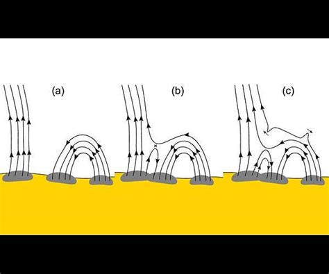 Solar Orbiter Solves Magnetic Switchback Mystery