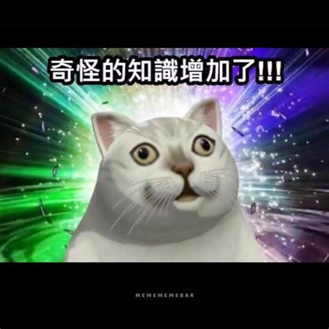 Re【情報】民眾黨整理的「台灣價值語錄 民進黨失言全紀錄」很不錯欸 場外休憩區 哈啦板 巴哈姆特
