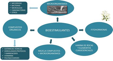 Uso De Bioestimulantes En Agricultura Sostenible