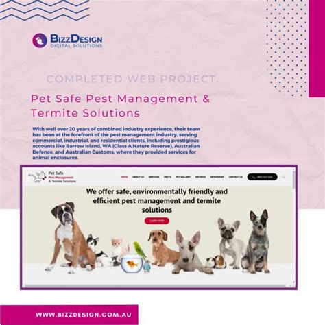 Bizzdesign On Linkedin Websiterevamp Digitaltransformation Pestmanagement Termitesolutions…