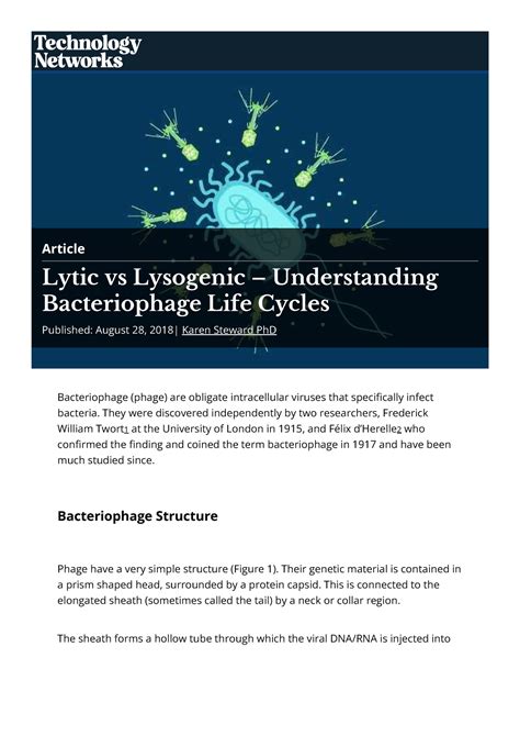 1649742701023 Lytic Vs Lysogenic Understanding Bacteriophage Life Cycles Clinical Pathology