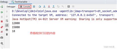 Debug是什么 CSDN博客