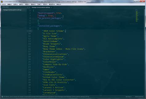 Sublime Text3 如何开启Debug 思索 博客园