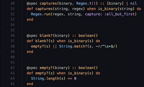 byespec dims elixir spec signatures in vs code source files hide