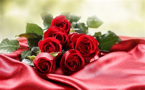 صور ورود جميله اجمل خلفيات ورود صداقة الأصدقاء