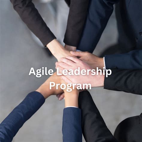 Agile Leadership Program Agilizing