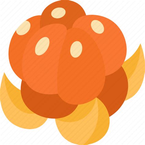 Cloudberry Fruit Sweet Vitamin Wild Icon Download On Iconfinder