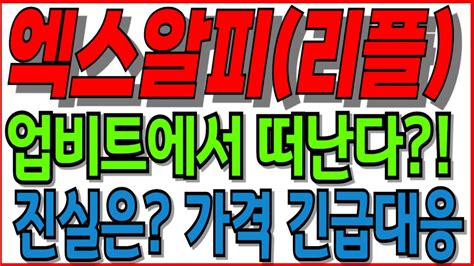 엑스알피 리플 코인전망 Xrp📡 Live 🔴업비트 상장폐지 결론 내드리면서 긴급대책 열겠습니다 리플xrp 리플