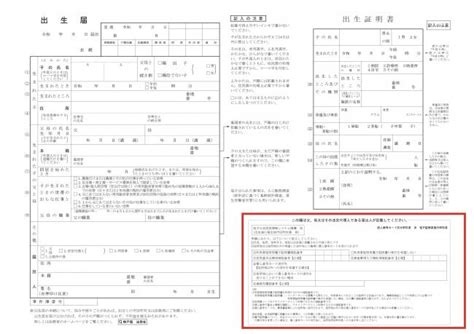 出生届と同時のマイナンバーカード申請について 糸満市ホームページ