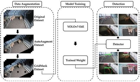 Optimizing Cattle Behavior Analysis In Precision Livestock Farming Integrating Yolov7 E6e With
