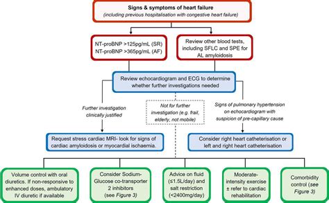 Proposed Hfpef Clinic Pathway For A Comprehensive And Holistic Approach