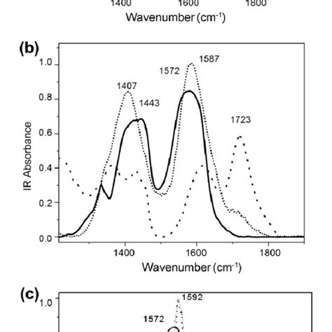 A Fourier Transform Infrared Spectroscopy Spectra Of Zno Nanorods