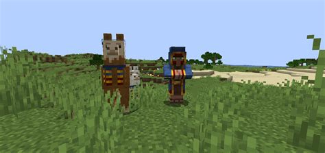 Frequentwanderingtrader Gallery