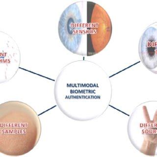 Possible Combination Of The Biometrics In Multimodal Authentication Download Scientific Diagram