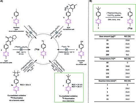 Proof Of Principle Of ¹⁸f Labeling Of A Methyl Phenyl Tz A