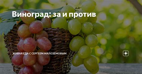 Виноград: за и против | Живая Еда с Сергеем Малозёмовым | Дзен