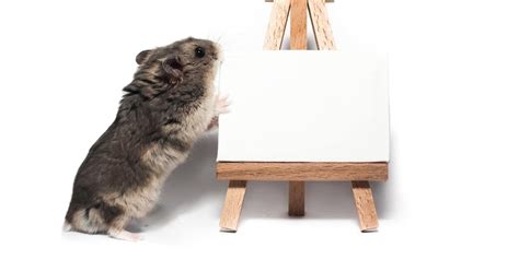 How To Make An Accordion Faq With Js Part 3