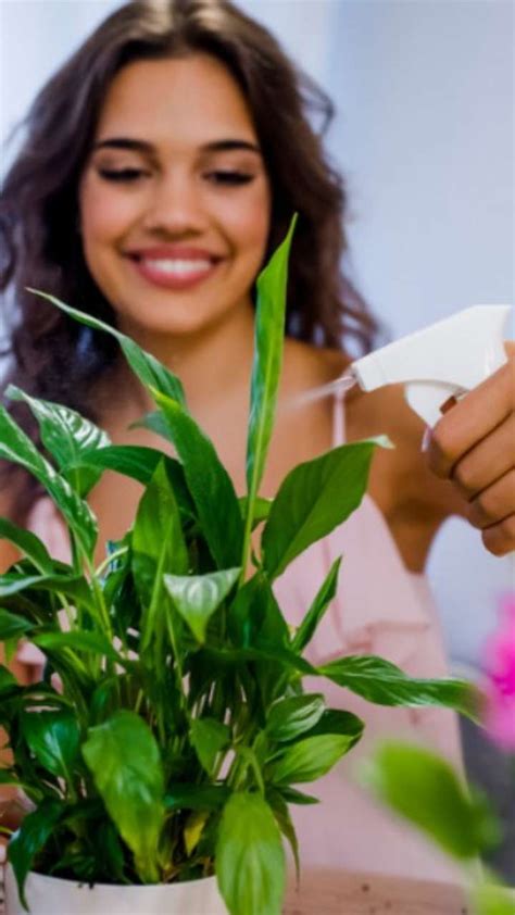 7 Plants That Bring Good Luck