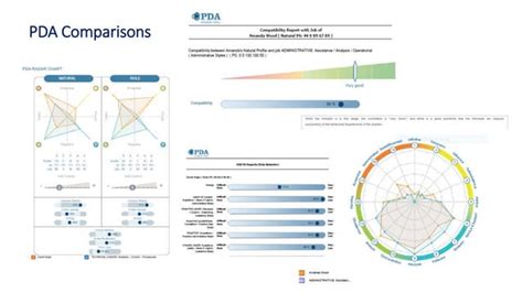 Pda Ppt Presentation Eng Ppt