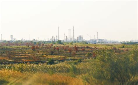 Pin av Татьяна Петерс på Уличная бытовая съемка ( фото автора)