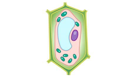 火花学院 科学可视化教学内容与工具库