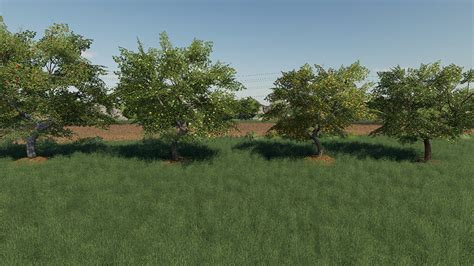 Placeable Trees Pack V Fs Mods Farming Simulator Mods Otosection